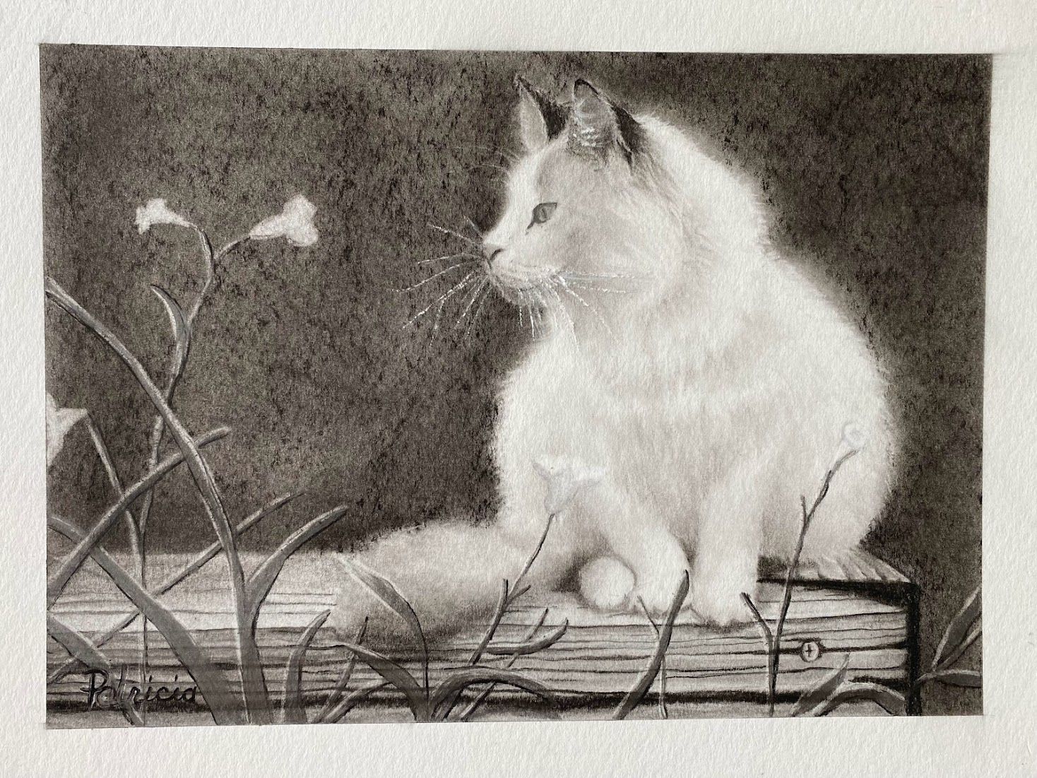 260210 Drawing with Patricia Pasbrig – Art Guild of Tellico Village